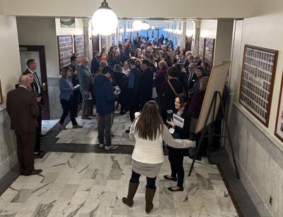 Hundreds attend hearing on library bill | Government | postregister.com