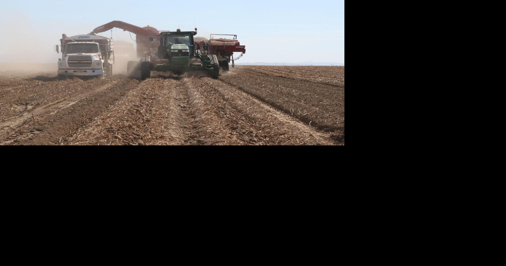 Ecotron will open up a new frontier in soil research | Crops ...