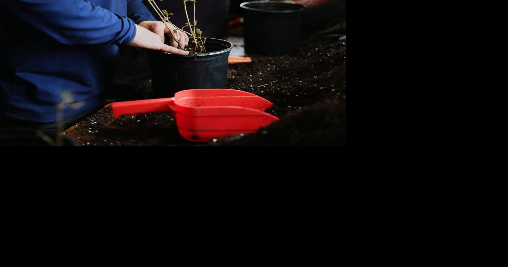 Climate Tree Equity | National News | postregister.com