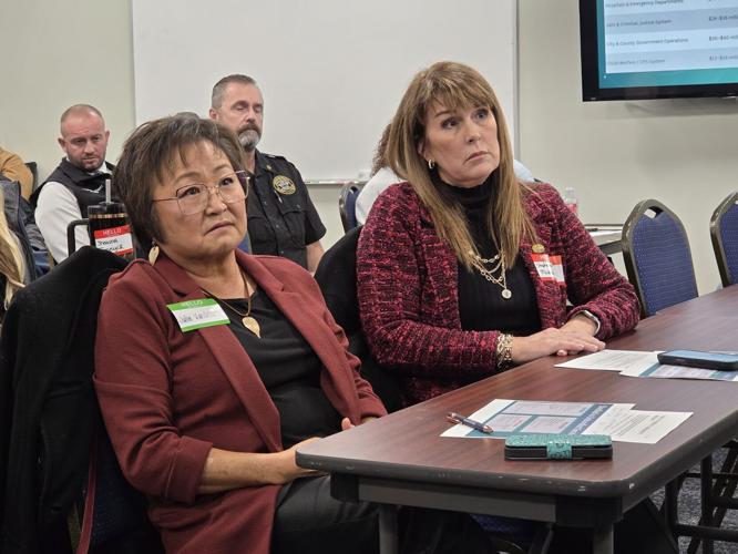 Legislature's cut to mental health services worries sheriffs | Local ...