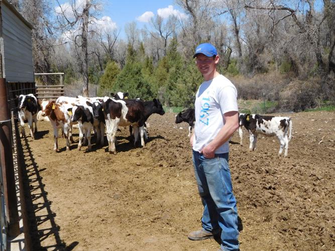 Nelson Dairy: Balancing tradition and innovation | Local | postregister.com