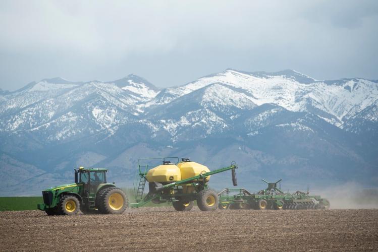 All hands on deck: Montana agriculture plays catch up on spring ...