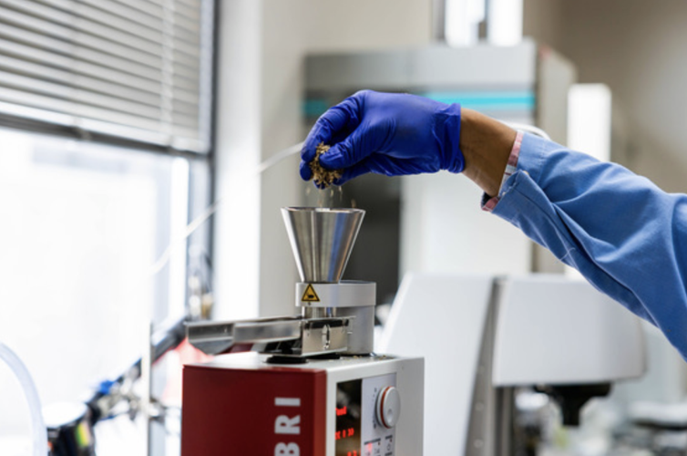 INL, Terragia collaborate to increase biofuel yields | Local News ...