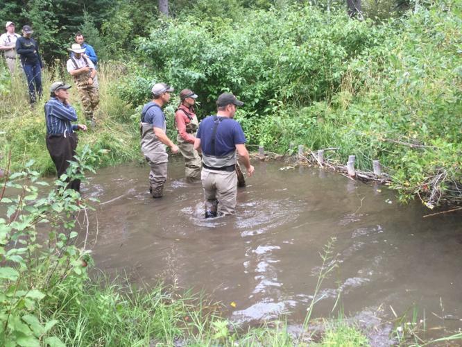 Preston rancher restoring beaver to creek | Eastern Idaho ...