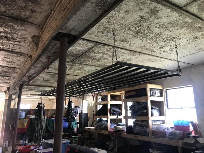 Barnyard basics: Horse blankets--tips on washing and drying ...