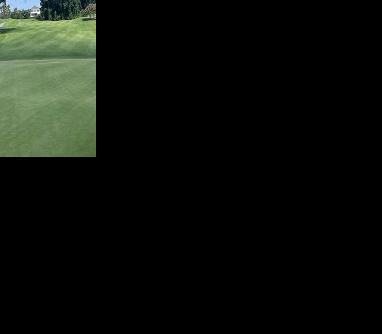HIGH SCHOOL GOLF: All-Area Team | PR Preps | postregister.com