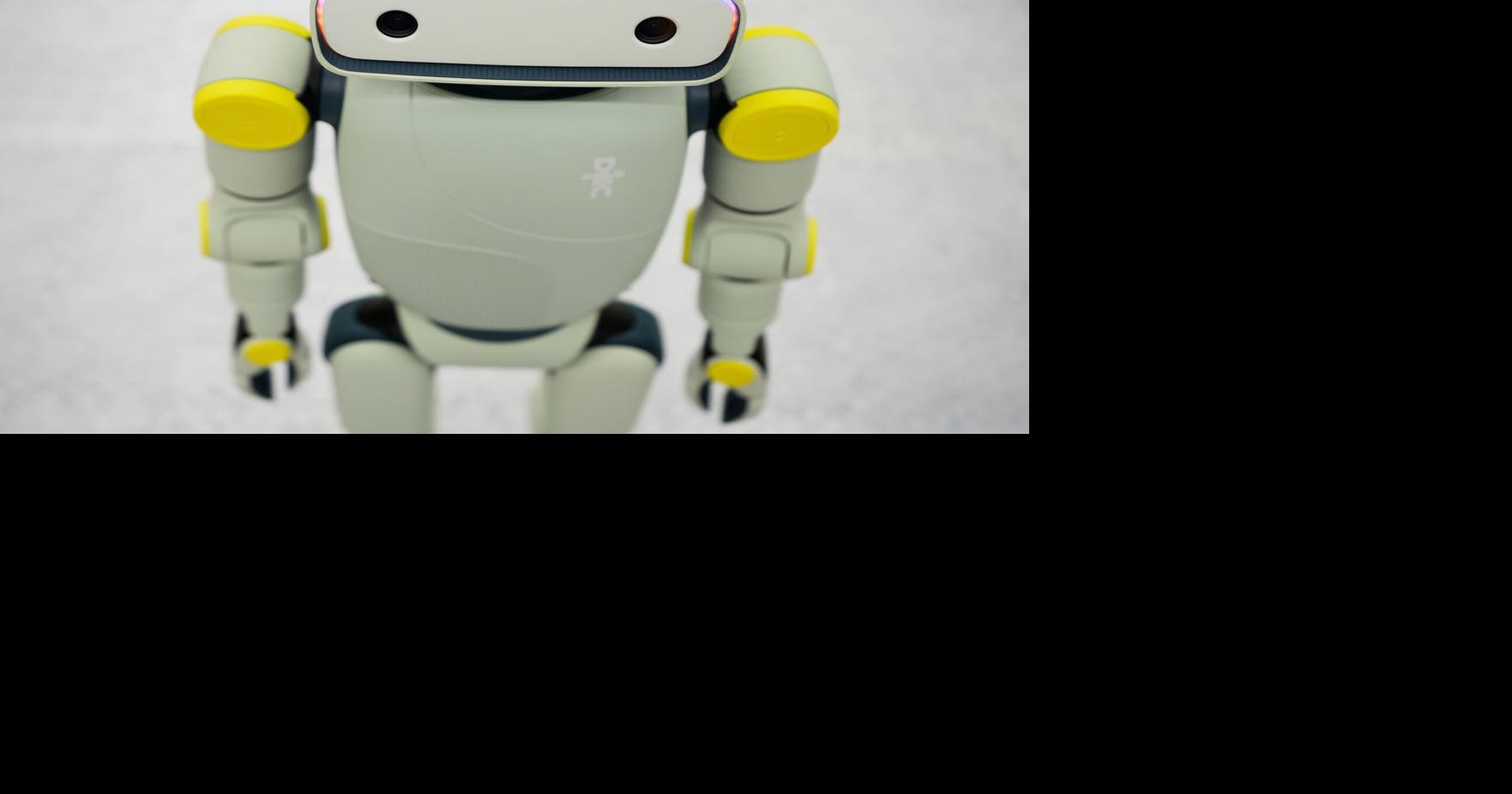 Friendly Humanoid | National News | postregister.com