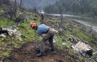 forestry workers fired