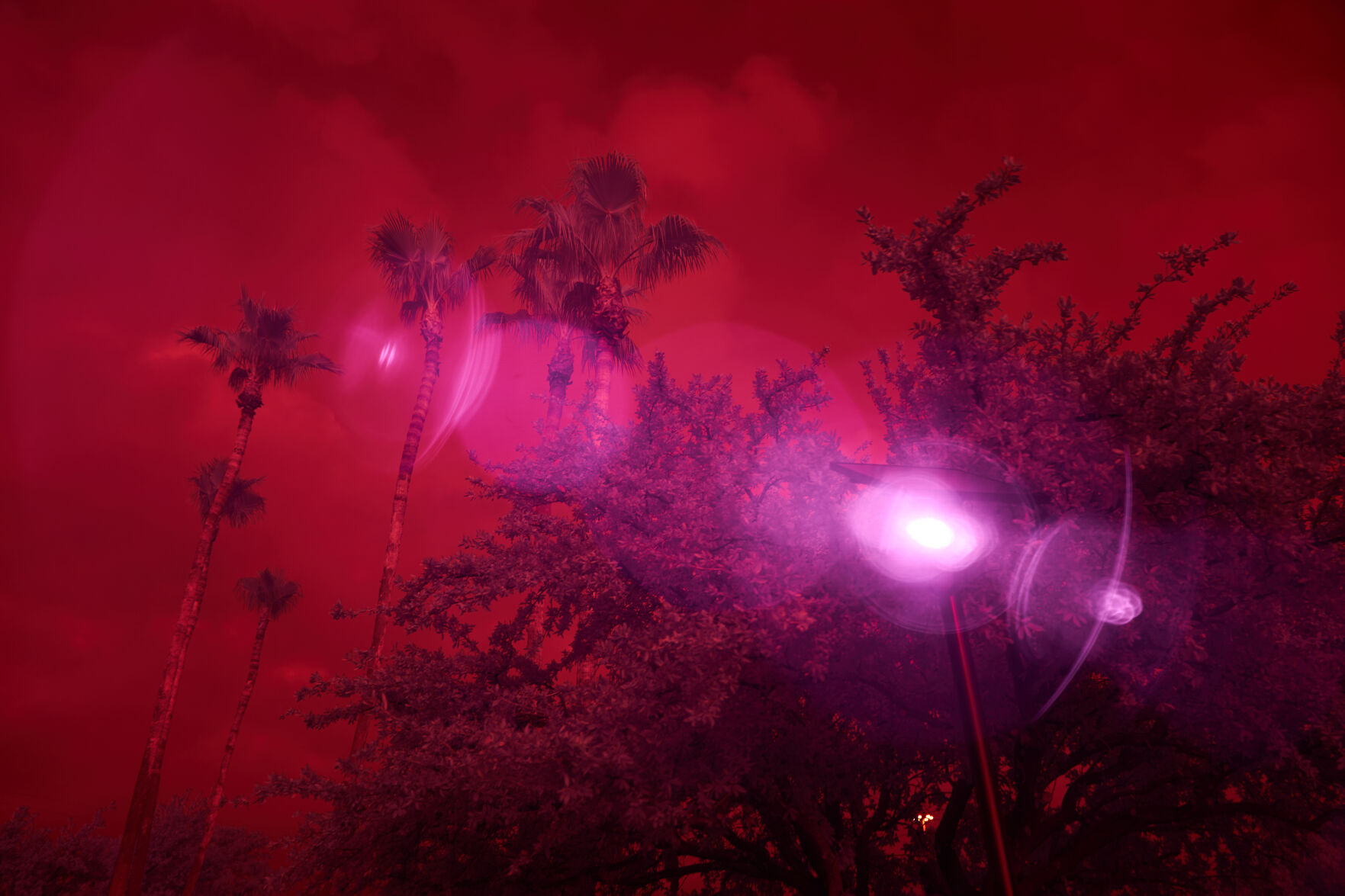 Digital Cage Infrared | National News | postregister.com