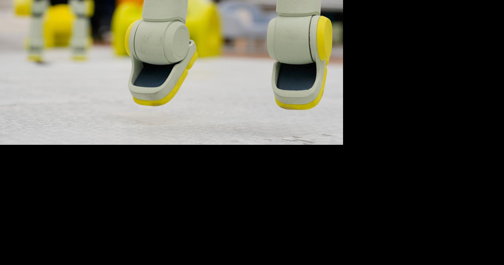 Friendly Humanoid | National News | postregister.com