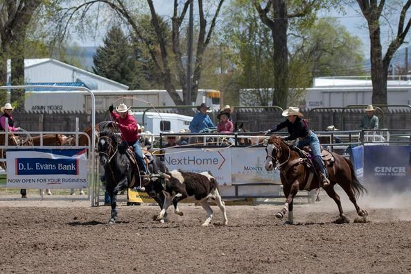 Madi Foster signs letter with Western Montana | Sports | postregister.com