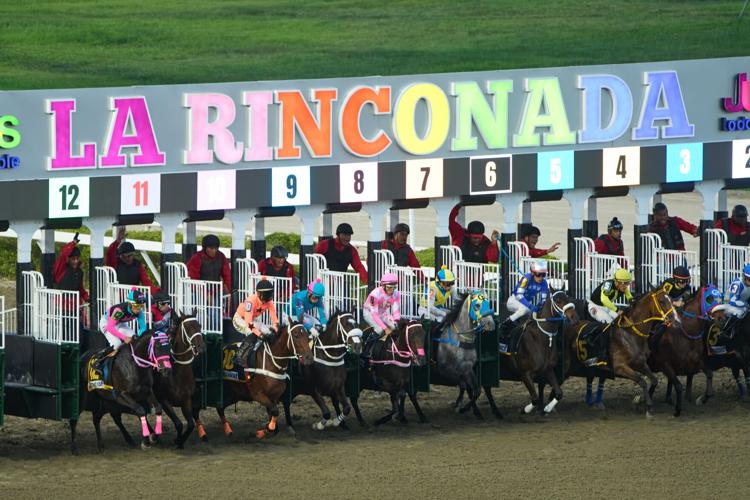 Photos of the 56th Jockey Challenge at Rinconada racetrack in Venezuela ...