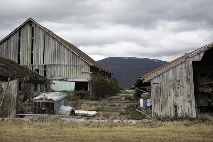 Farmer pitches way to increase farmworker housing | Labor & Immigration ...