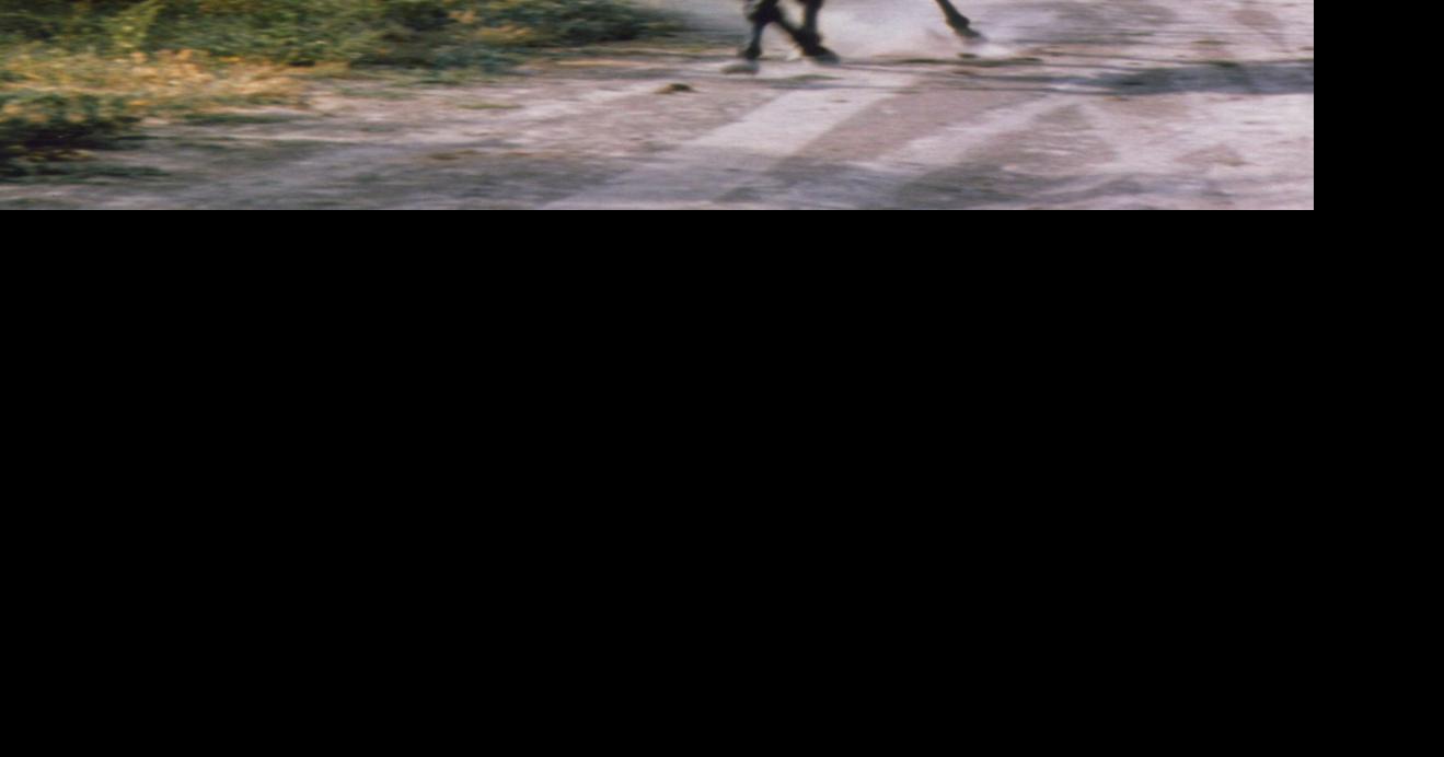 Barnyard Basics: Why horses spook | Columnists | postregister.com