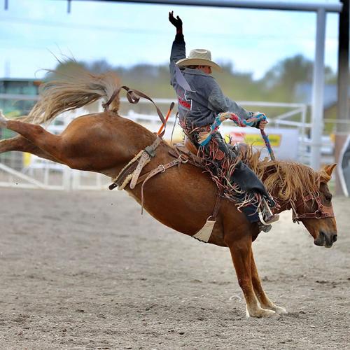 First look at the National High School Finals Rodeo | Postregister ...