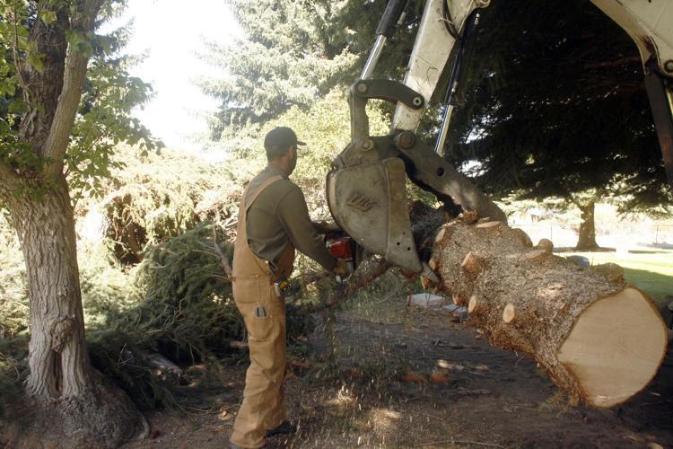 Cemetery board focuses on getting things back together | News ...