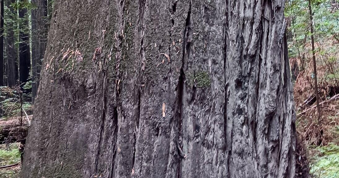 Answering the tough questions with vague responses | Outdoors ...