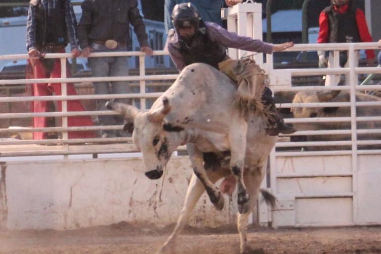 Rawley Johnson fits profile of top bull rider | Sports | postregister.com