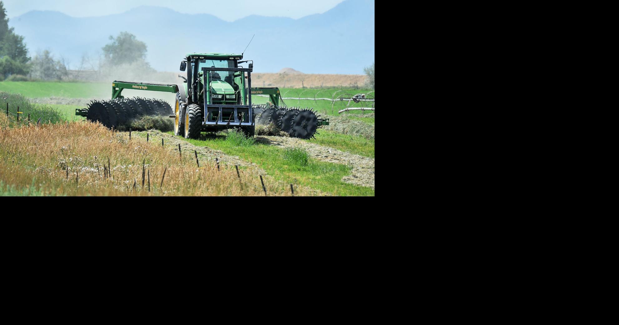 Idaho hay growers disappointed by quality of harvests | Crops ...