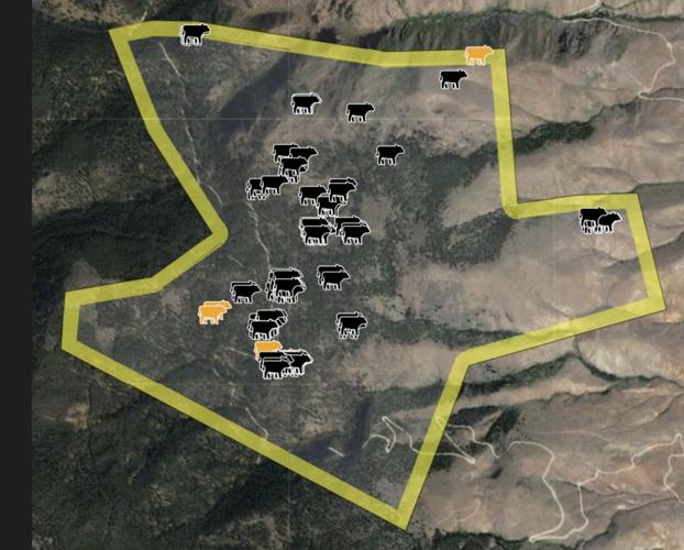 New technology, the virtual fence keeps cattle where you want them ...