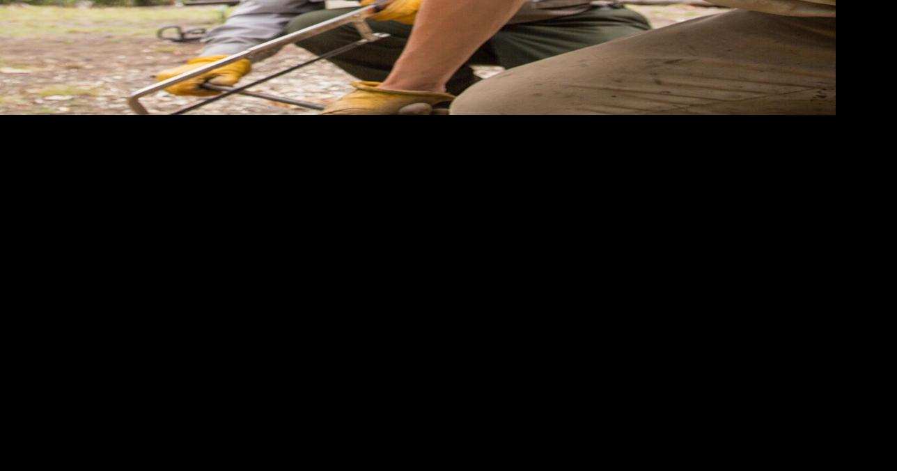 Yellowstone recruiting for Youth Conservation Corps program | Local ...