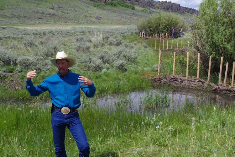 BALANCING NEEDS OF BEAVERS AND FARMERS: IDWR issues new permitting ...