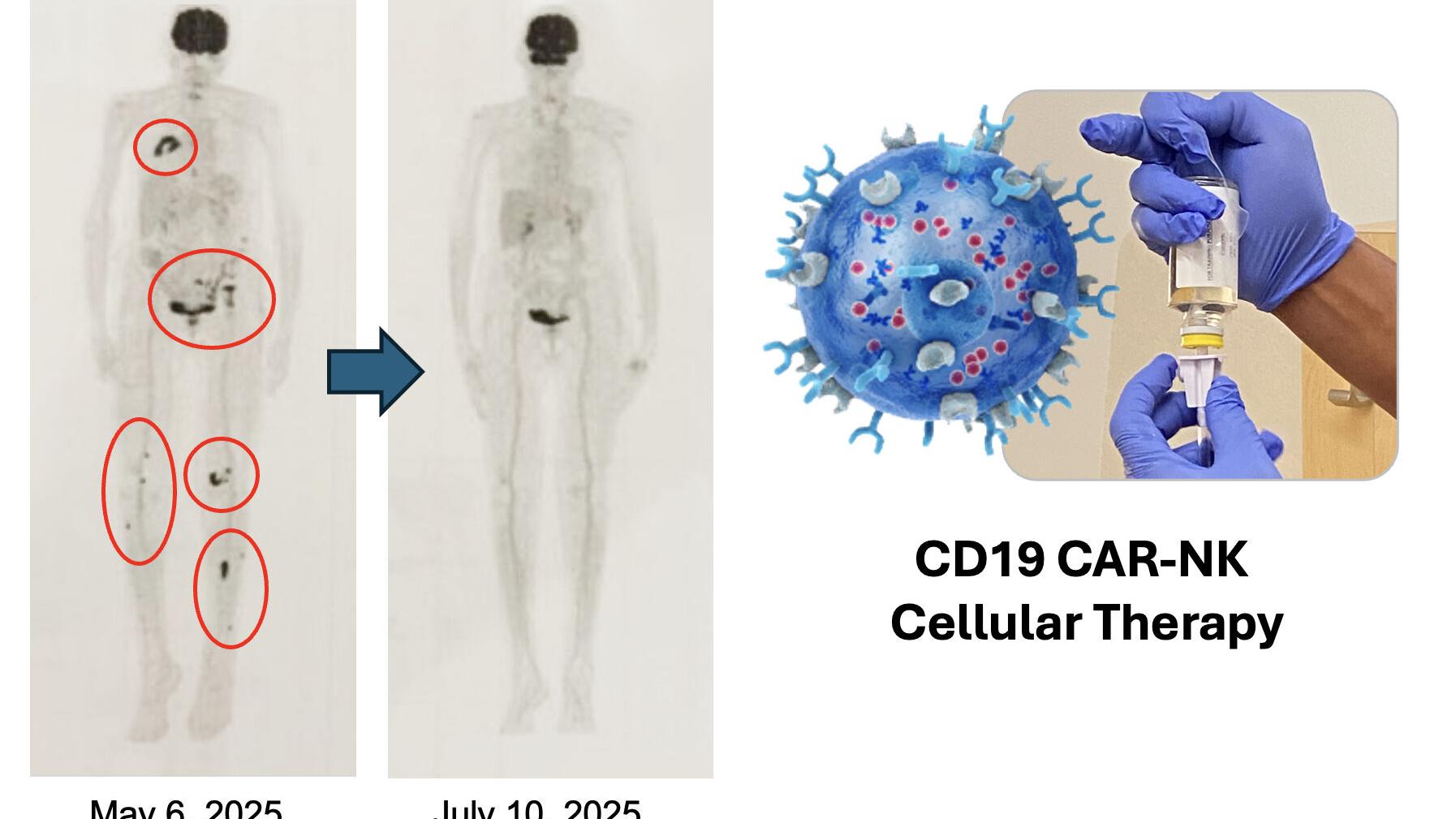 proactive publications limited