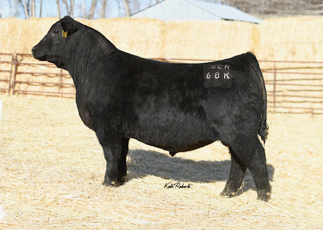 Spring Cove Ranch barn is Idaho’s first ranch stamped with Certified ...