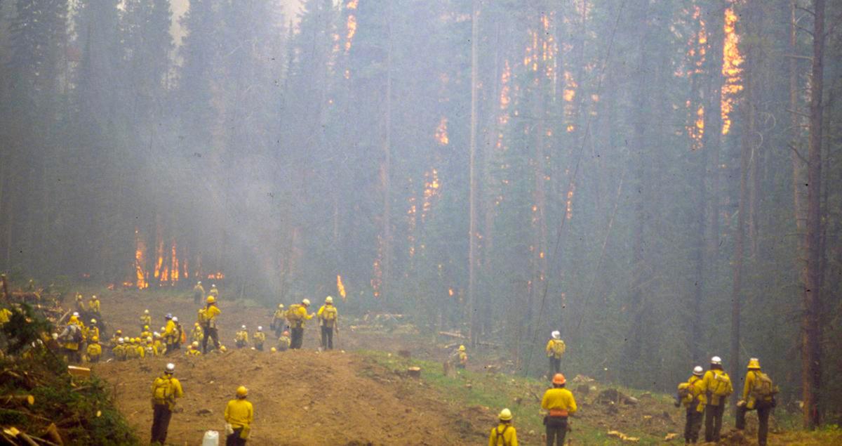 Firefighting has seen many changes since the 1988 Yellowstone fires ...