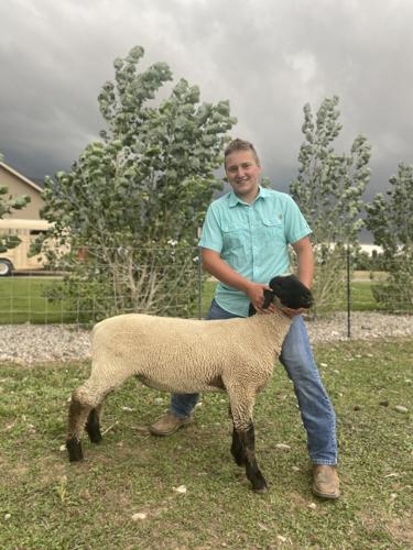 4-H Feature: Bryson Youngstrom | Local Scenes | postregister.com