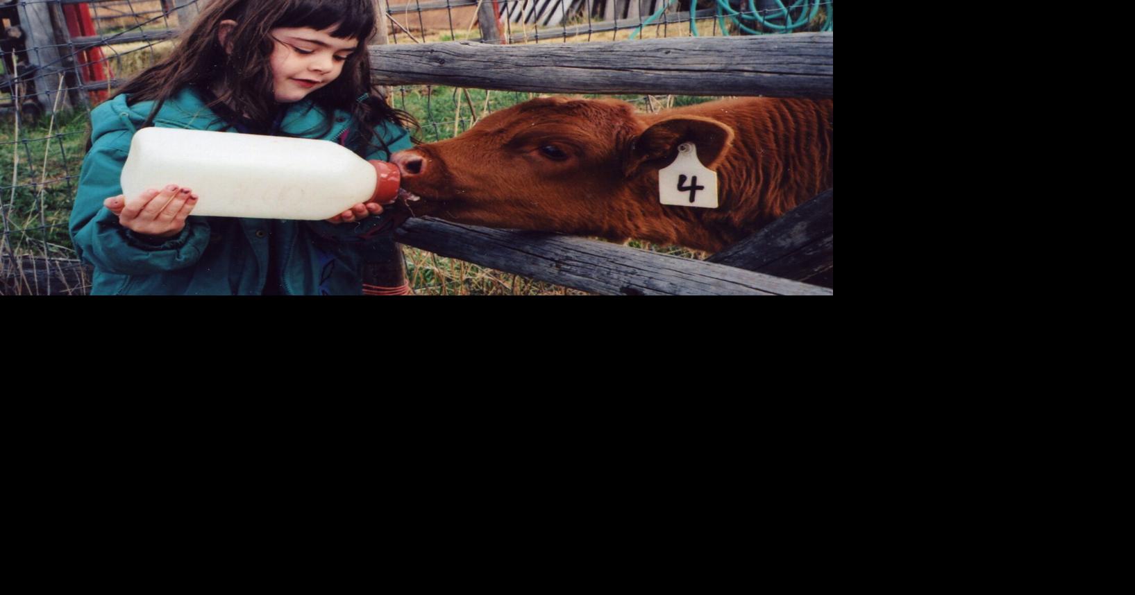 Raising an orphan calf | Farm & Ranch | postregister.com