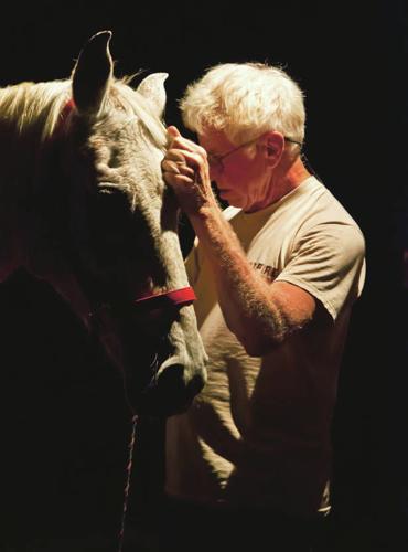 Barnyard Basics: Remarkable comeback after surgery | | postregister.com