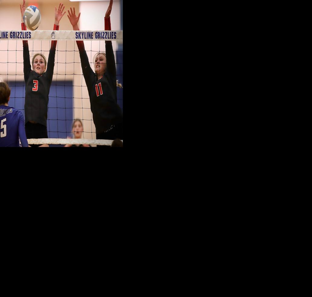 HIGH SCHOOL VOLLEYBALL: Madison's Kinley Kerbs is All-Area Player of ...