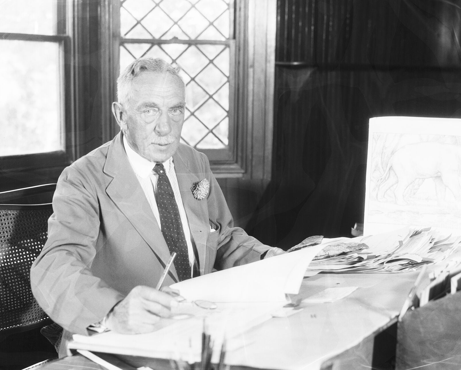 Dr. Henry Fairfield Osborn | National News | postregister.com