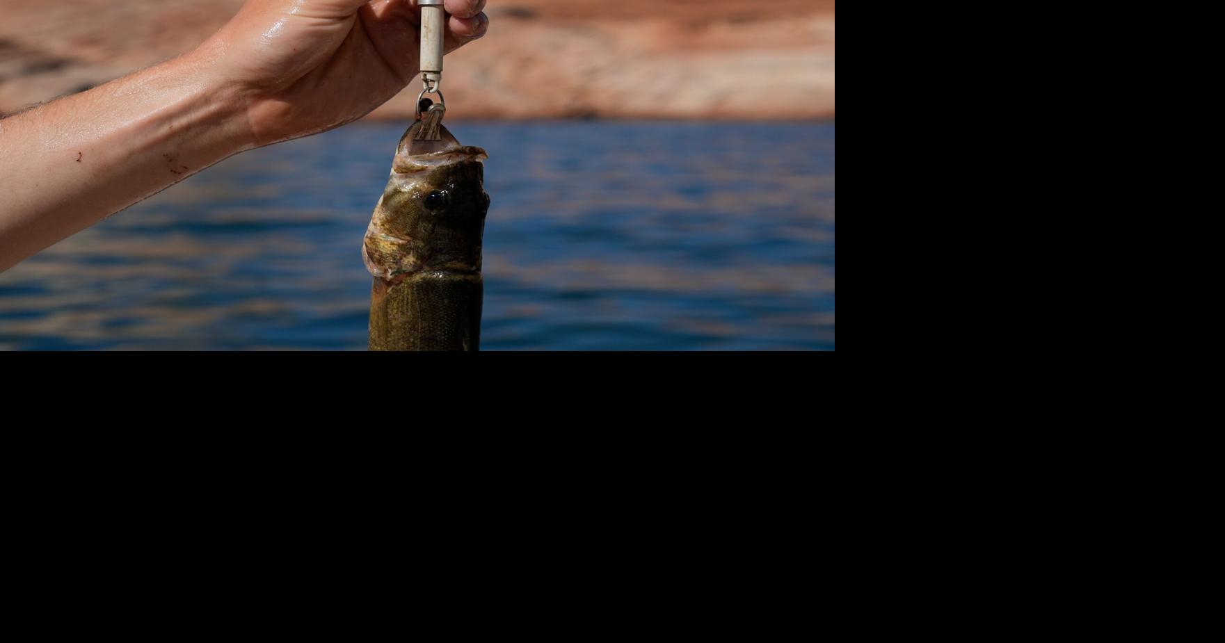 Climate Colorado River Cold Releases | National News | postregister.com