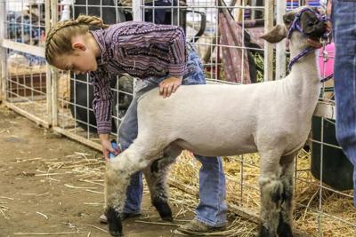Palouse Empire Fair helps build trust and relationships between ...