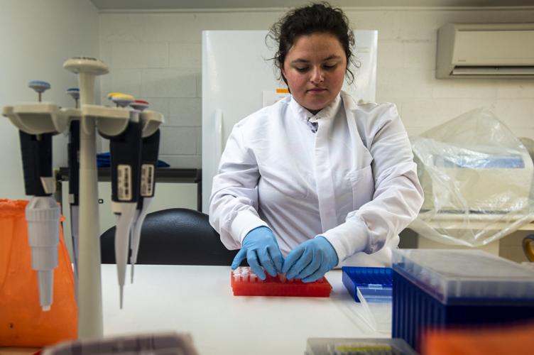 Idaho agriculture looks to Parma for crop research, soil testing ...