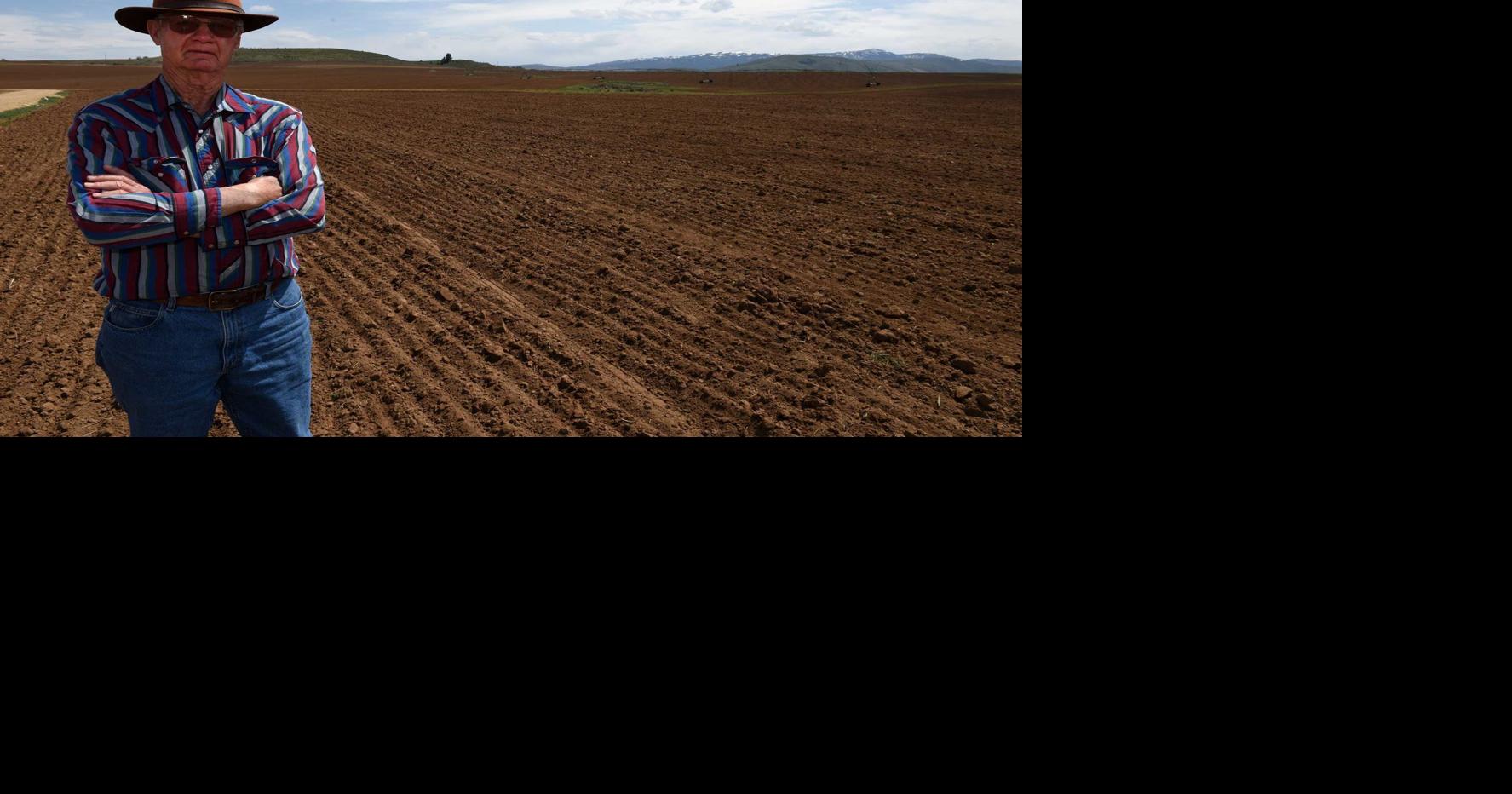 Idaho farmer's elk damage claim exceeds $1 million | Crops ...