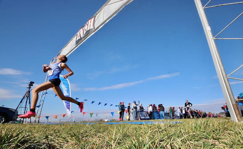 HIGH SCHOOL CROSS COUNTRY: Area runners shine at 3A, 2A state ...