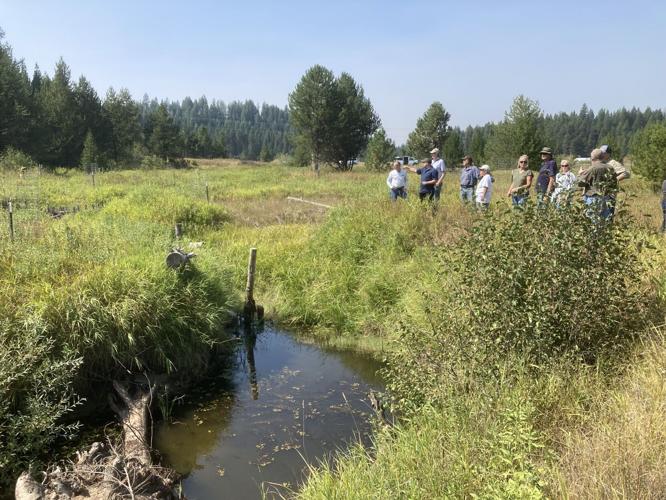 U of I workshop teaches stream restoration | Local News | postregister.com