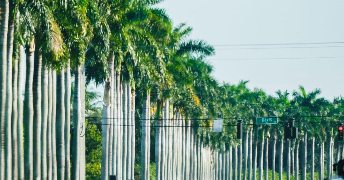 Trump | National News | postregister.com