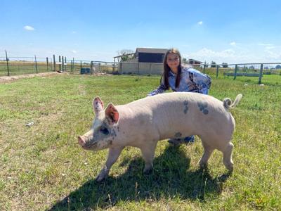 4-H Feature: Morgan Cook | News | postregister.com