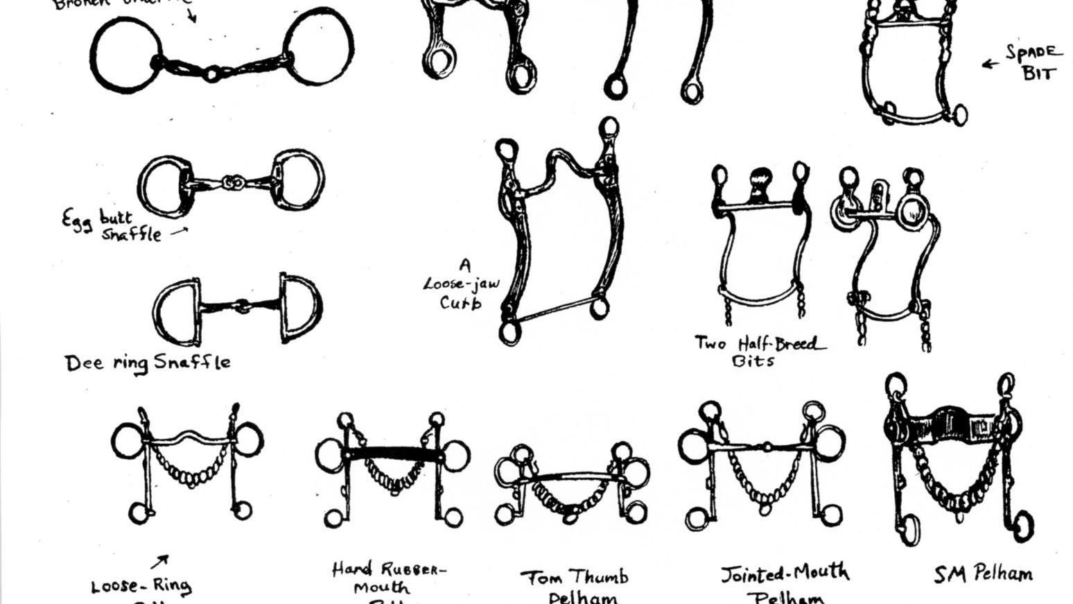 aggressive horse bits