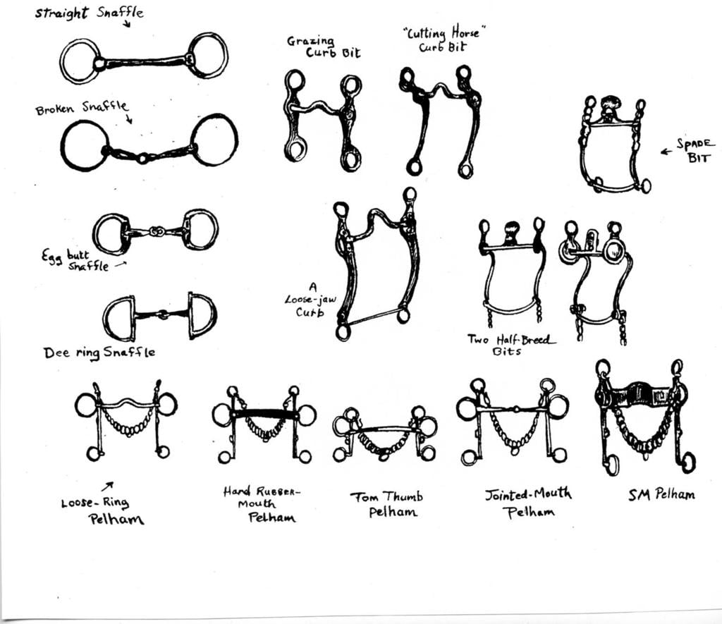western snaffle bit types
