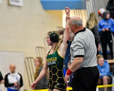 HIGH SCHOOL GIRLS WRESTLING: Rigby wins district team title as tickets ...