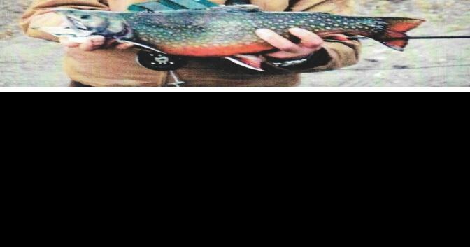 Beesley, Charles | Obituaries | postregister.com