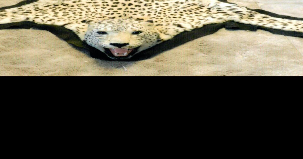 Snow leopard rug holds special place at museum | Chronicle ...