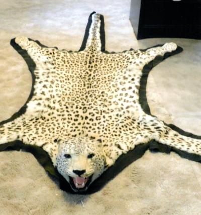 Snow leopard rug holds special place at museum | Chronicle ...
