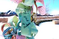 Winter Weather | National News | postregister.com