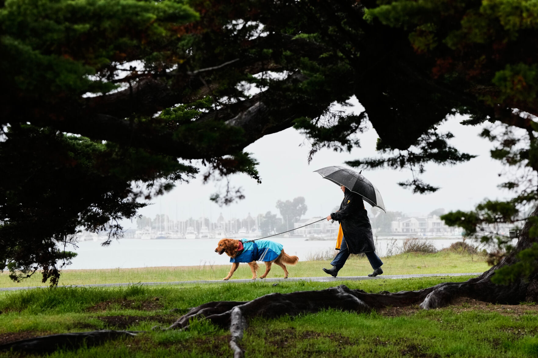 California Daily Life | National News | postregister.com